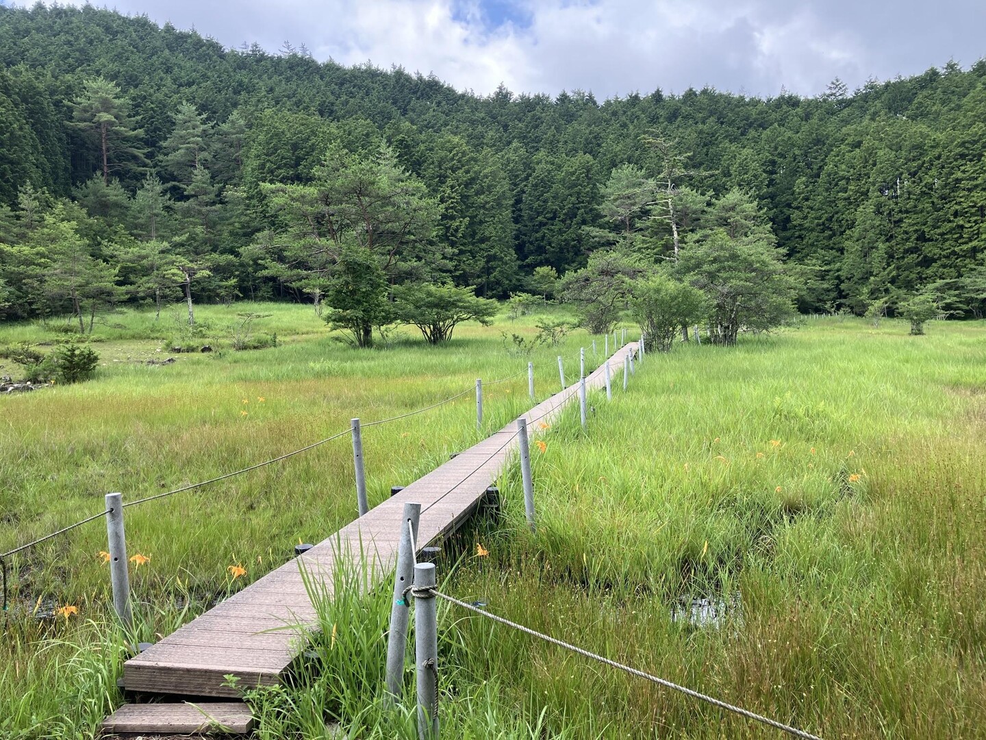 黒の田湿地〜屏風山 / kayoさんの屏風山の活動データ | YAMAP / ヤマップ