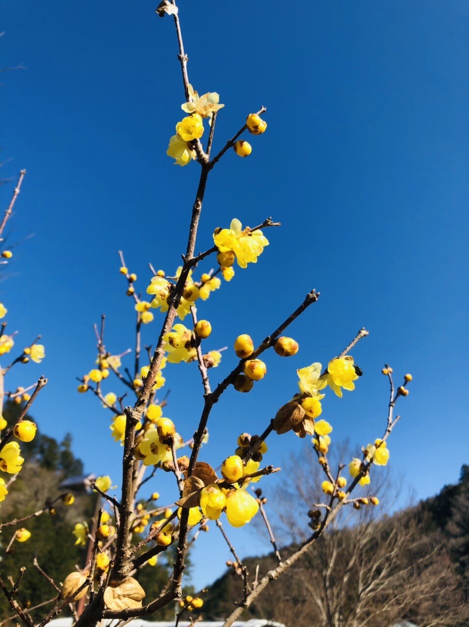 あるヤマッパーさんの投稿を見てアクティ森... / yoさんのモーメント | YAMAP / ヤマップ