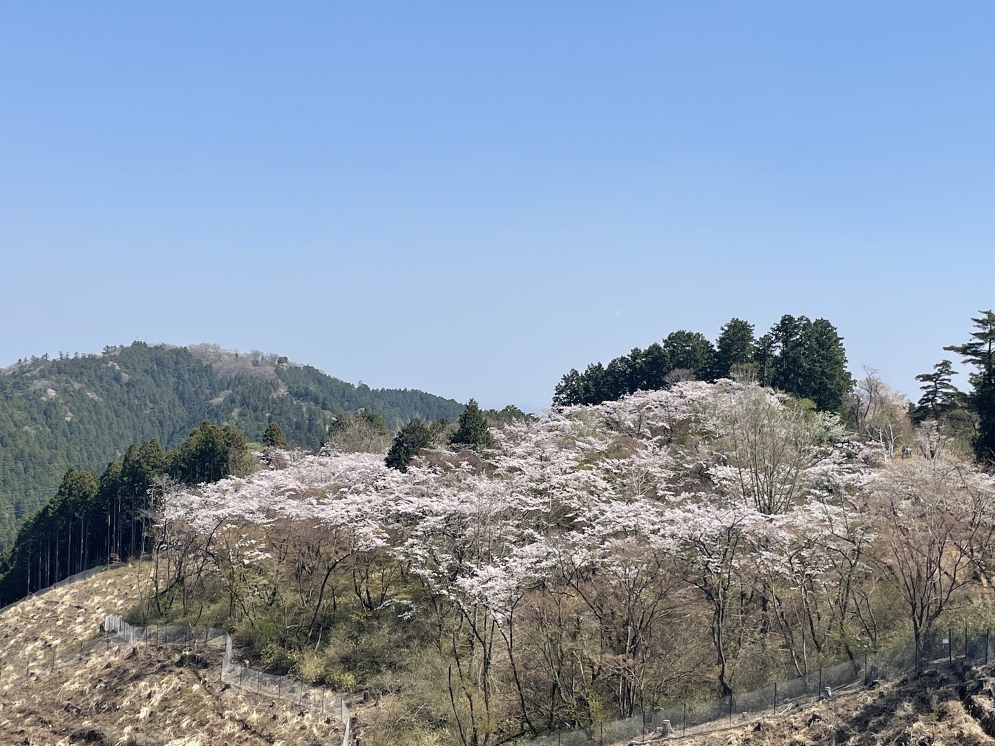 奥高尾縦走 陣馬山→高尾山 / YOUKOWさんの高尾山・陣馬山・景信山の活動日記 | YAMAP / ヤマップ
