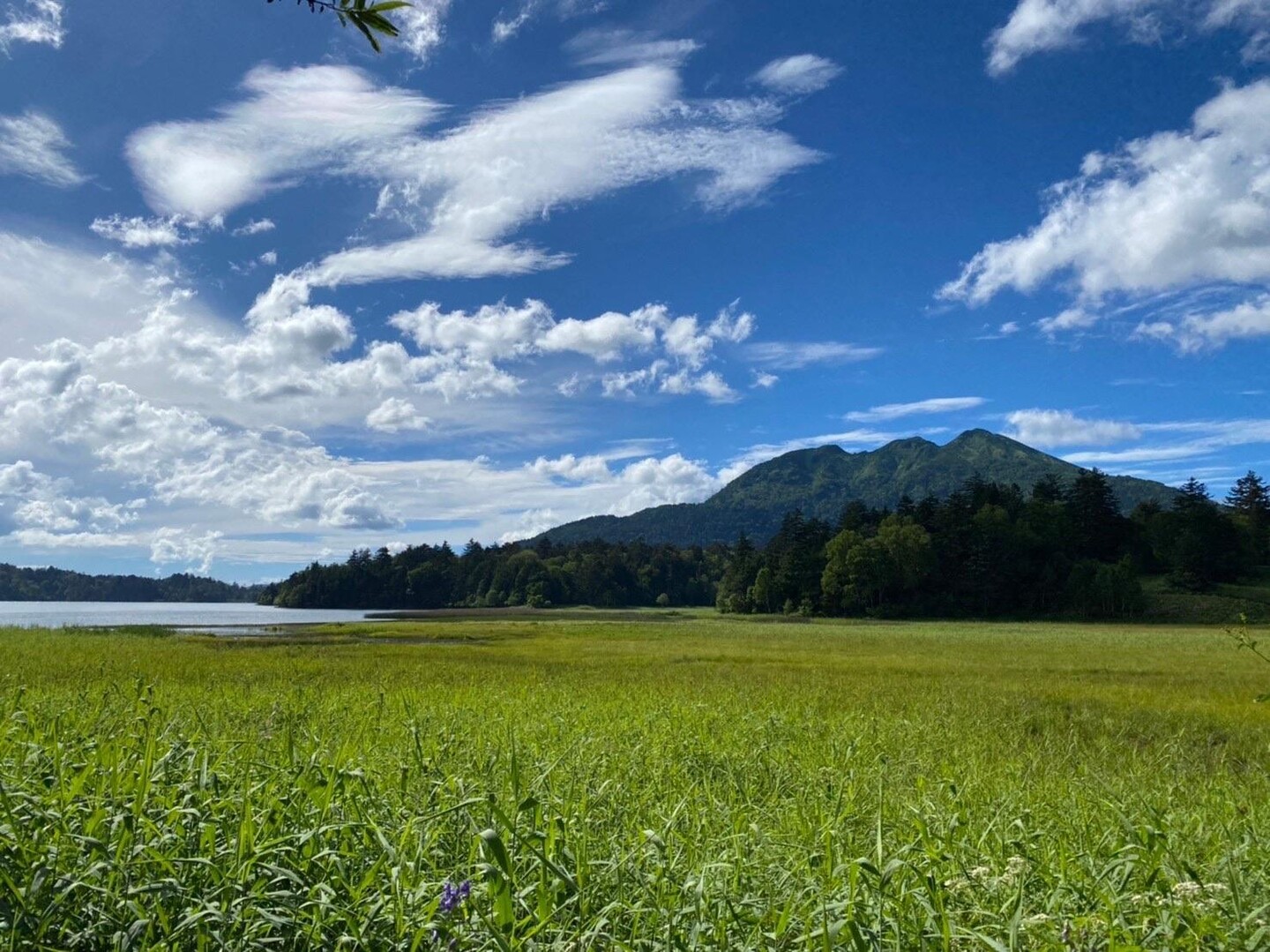俎嵓・燧ヶ岳(柴安嵓)・ミノブチ岳 / 歩知さんの尾瀬・燧ヶ岳の活動データ | YAMAP / ヤマップ