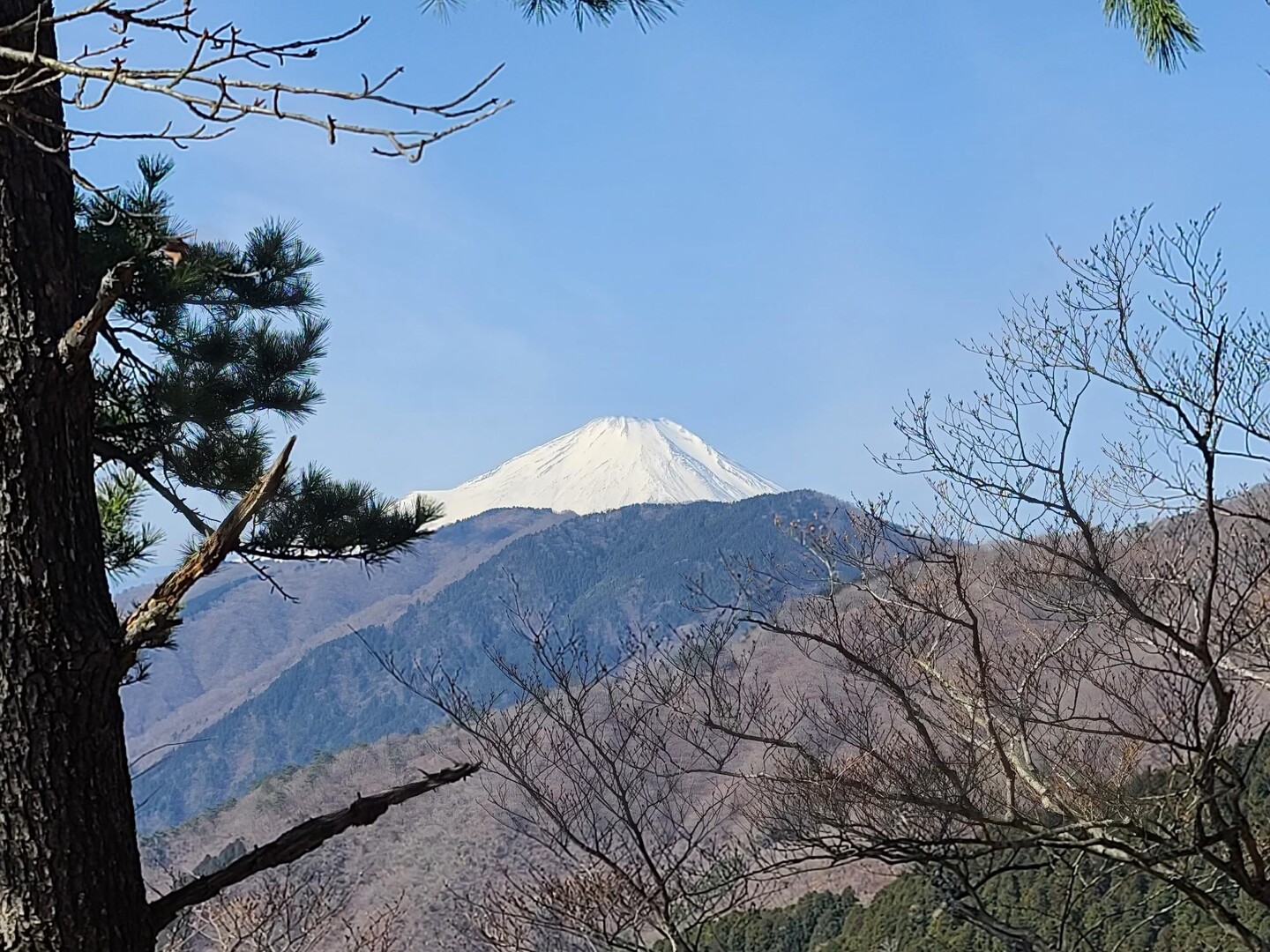 2023.03.05(日) 11:24 / hyosungさんのモーメント | YAMAP / ヤマップ