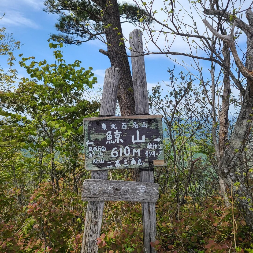 岩手 鯨山 / hide-bonさんの鯨山の活動データ | YAMAP / ヤマップ