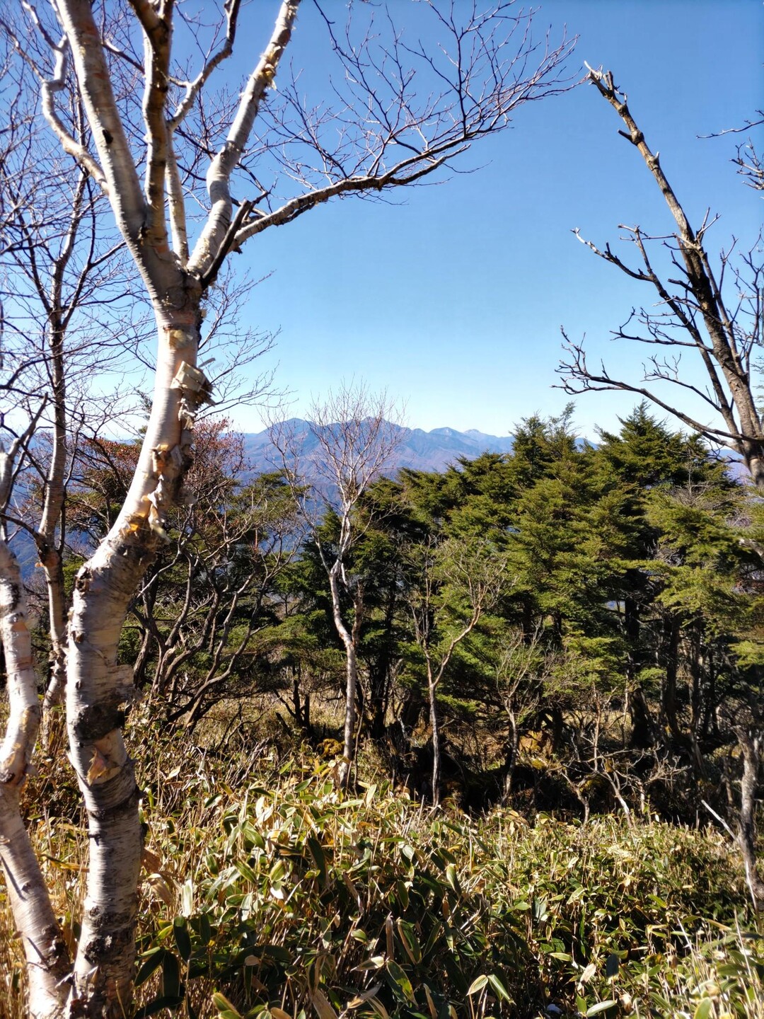 鶏頂山 / 山好きよっちやんさんの高原山・釈迦ヶ岳・鶏頂山の活動日記 | YAMAP / ヤマップ