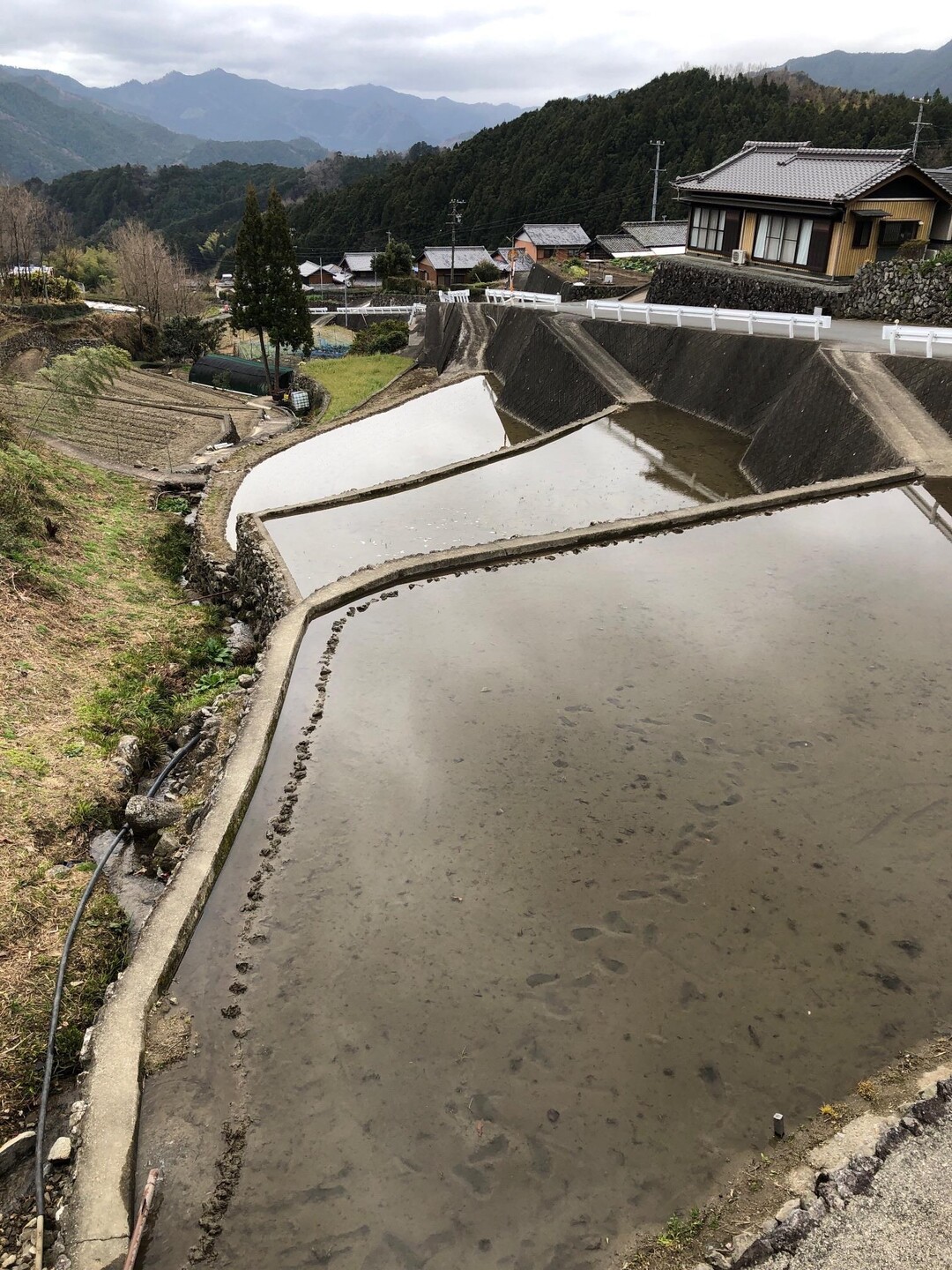 白猪山二ノ峰・白猪山 / Mt.zakiさんの白猪山の活動データ | YAMAP / ヤマップ