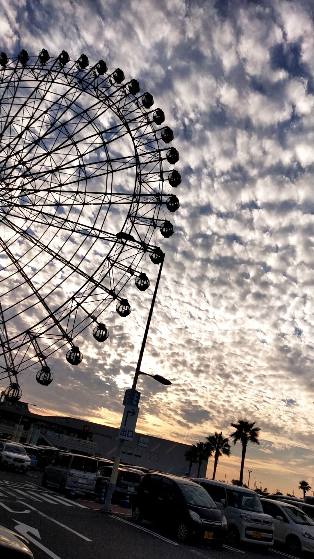 りんくうタウン駐車場から / tomiさんのモーメント | YAMAP / ヤマップ