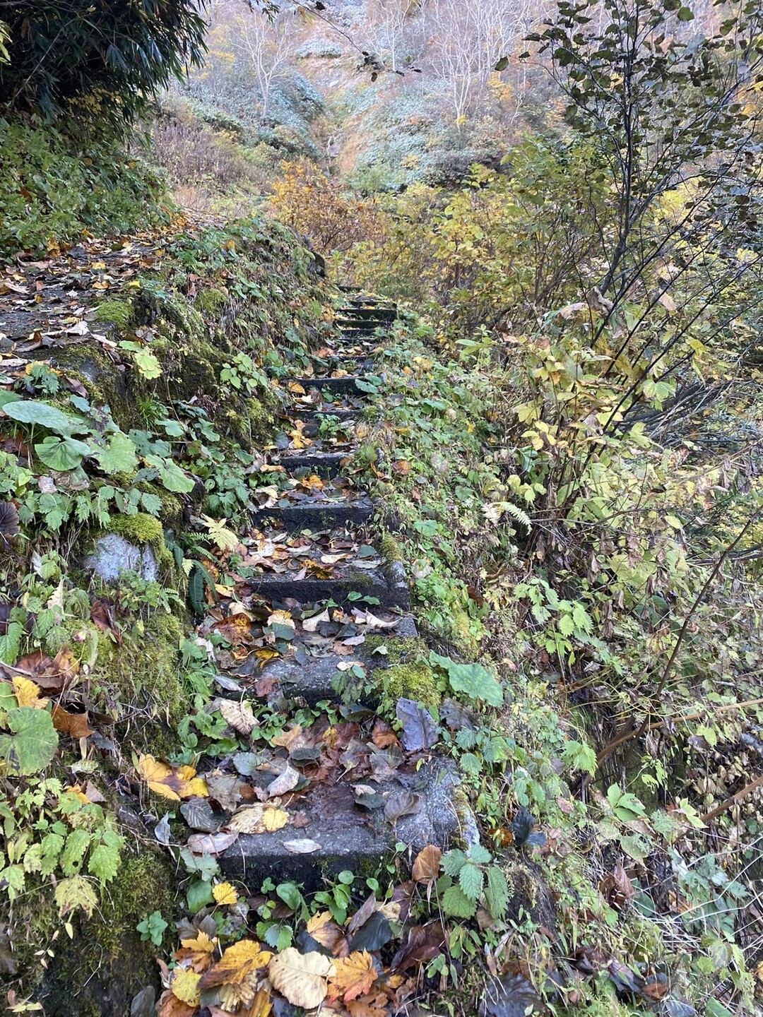 Gentil15さんの投稿したフィールドメモ | YAMAP / ヤマップ