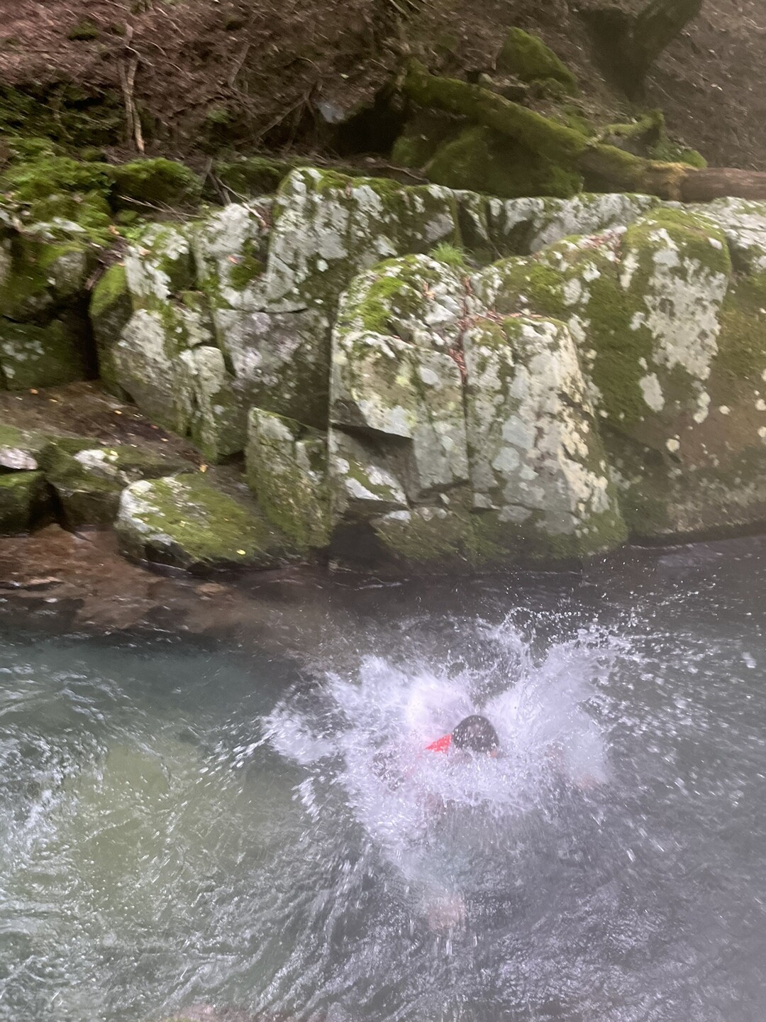 akiraさんの投稿したフィールドメモ | YAMAP / ヤマップ