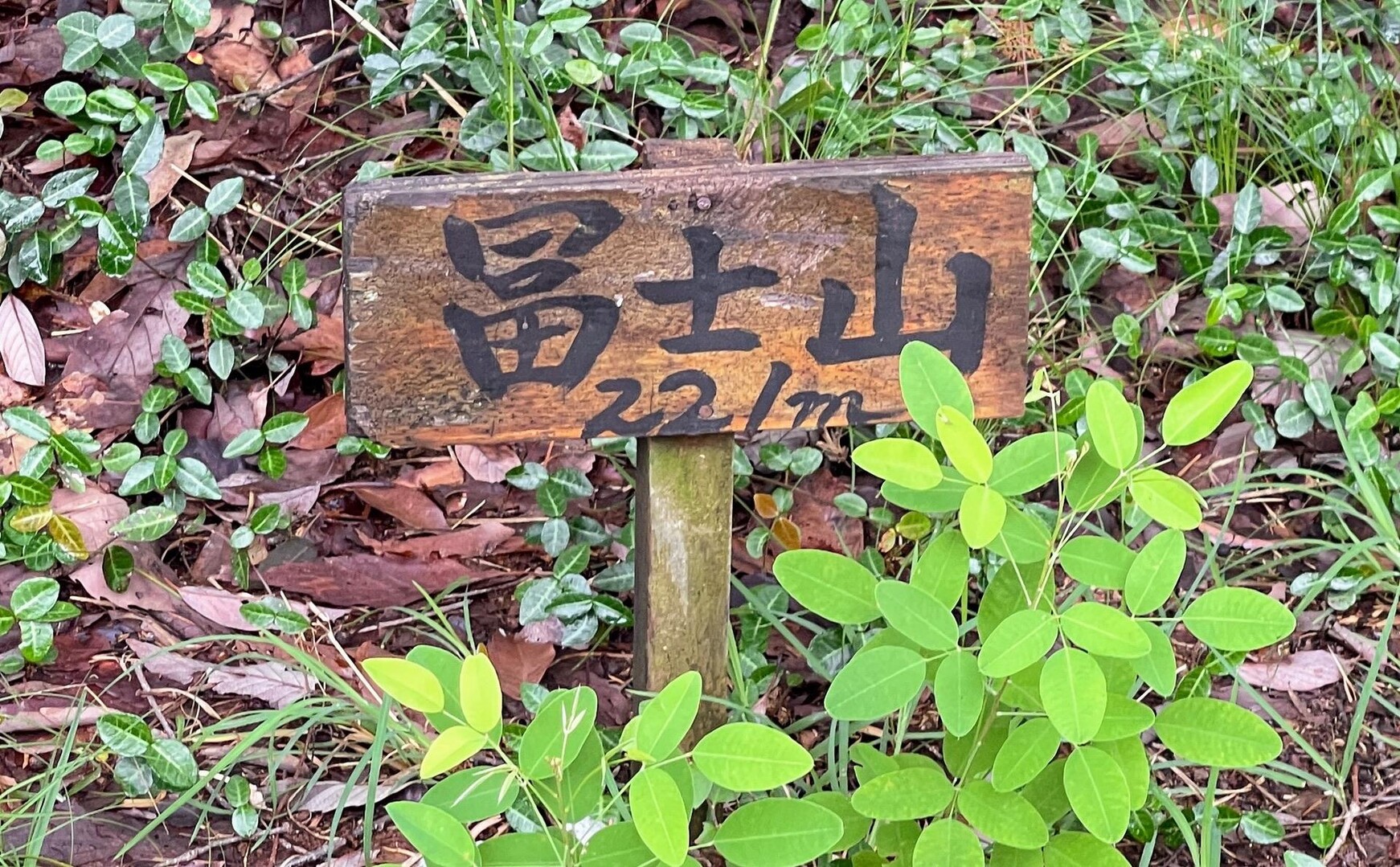今日はサクッと富士山へ⁉︎ / natsuさんの日和田山・物見山の活動データ | YAMAP / ヤマップ