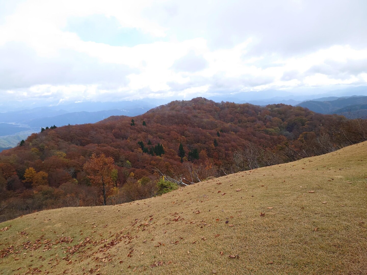 御殿山・蘇武岳 / saiさんの蘇武岳の活動データ | YAMAP / ヤマップ
