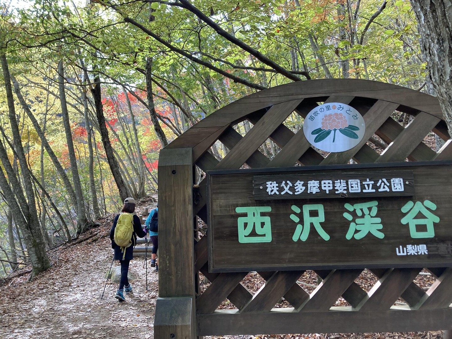 秋の西沢渓谷🍁 約、半年ぶりの三人娘... / チーボーさんのモーメント | YAMAP / ヤマップ