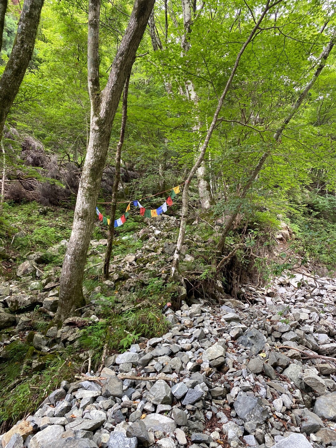 kcocoさんの投稿したフィールドメモ | YAMAP / ヤマップ