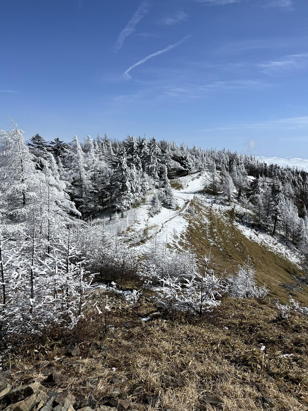 雲取山 / so!yo!さんの雲取山・鷹ノ巣山・七ツ石山の活動データ | YAMAP / ヤマップ