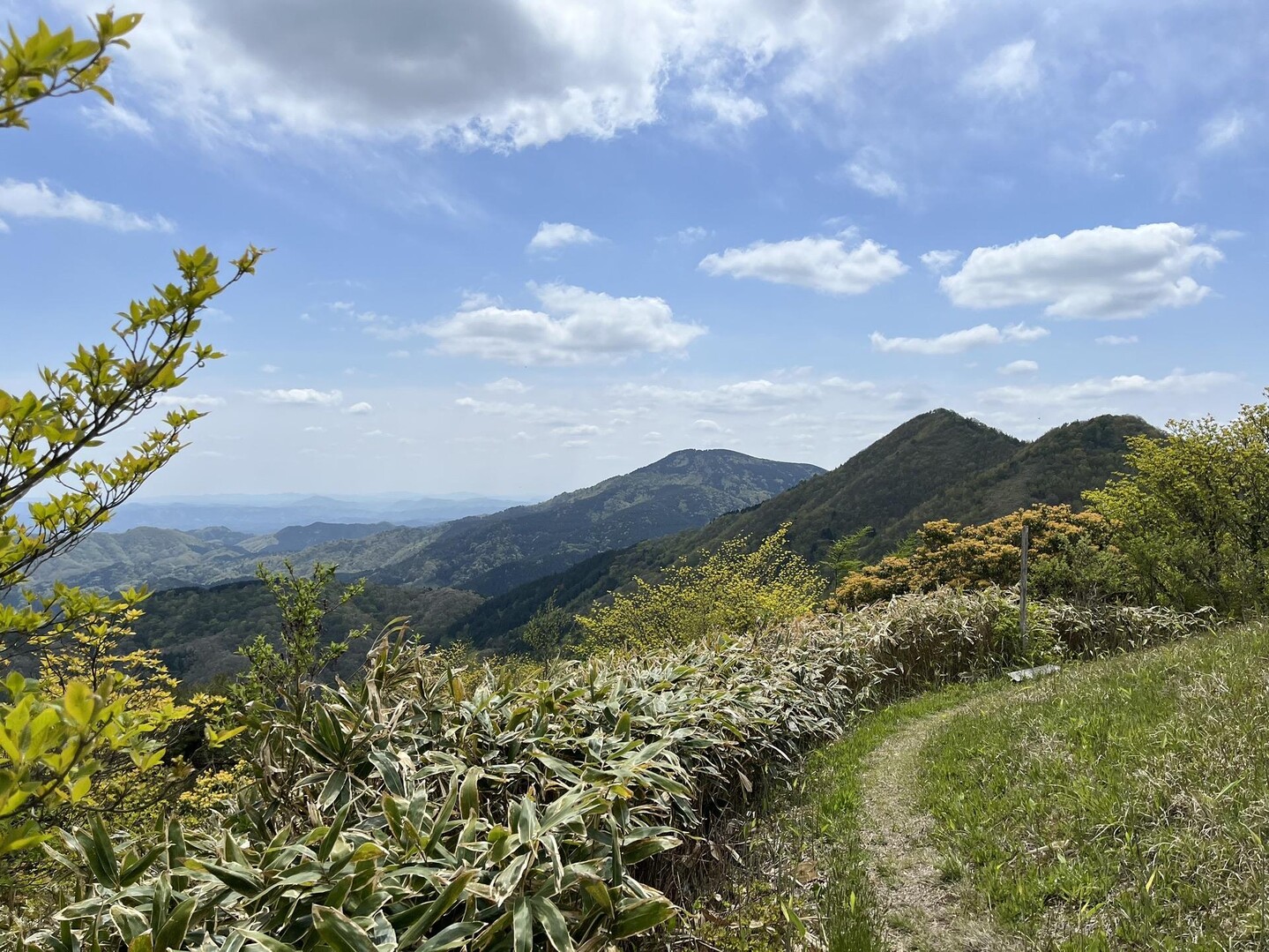 櫃ヶ山 / issaさんの櫃ヶ山・星山の活動データ | YAMAP / ヤマップ