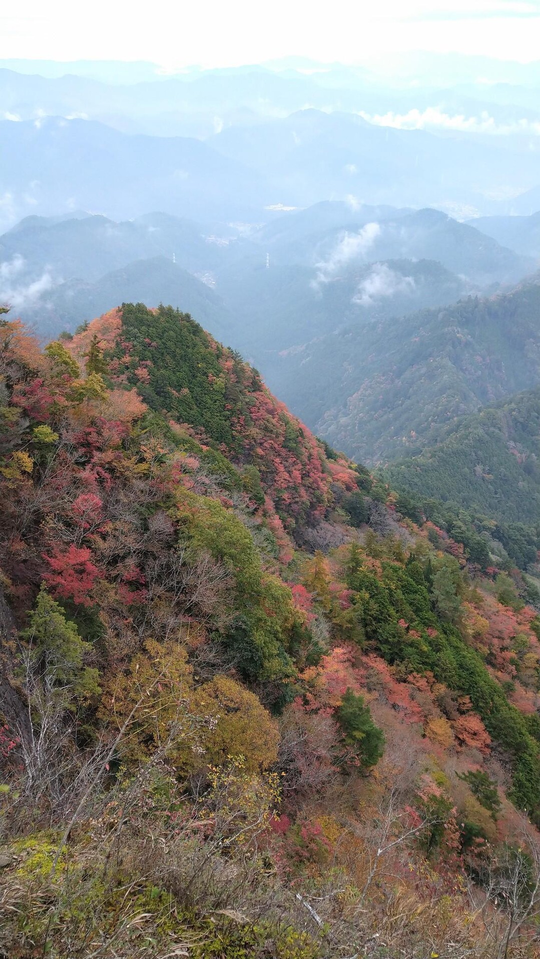 明神山 / TOMさんの明神山（三ツ瀬明神山）の活動データ | YAMAP / ヤマップ