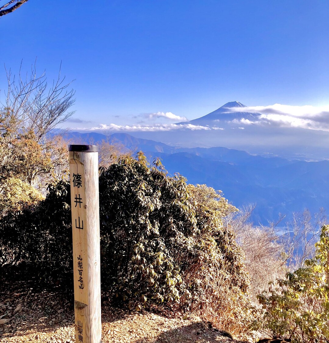 篠井山 / IMOさんの篠井山の活動データ | YAMAP / ヤマップ