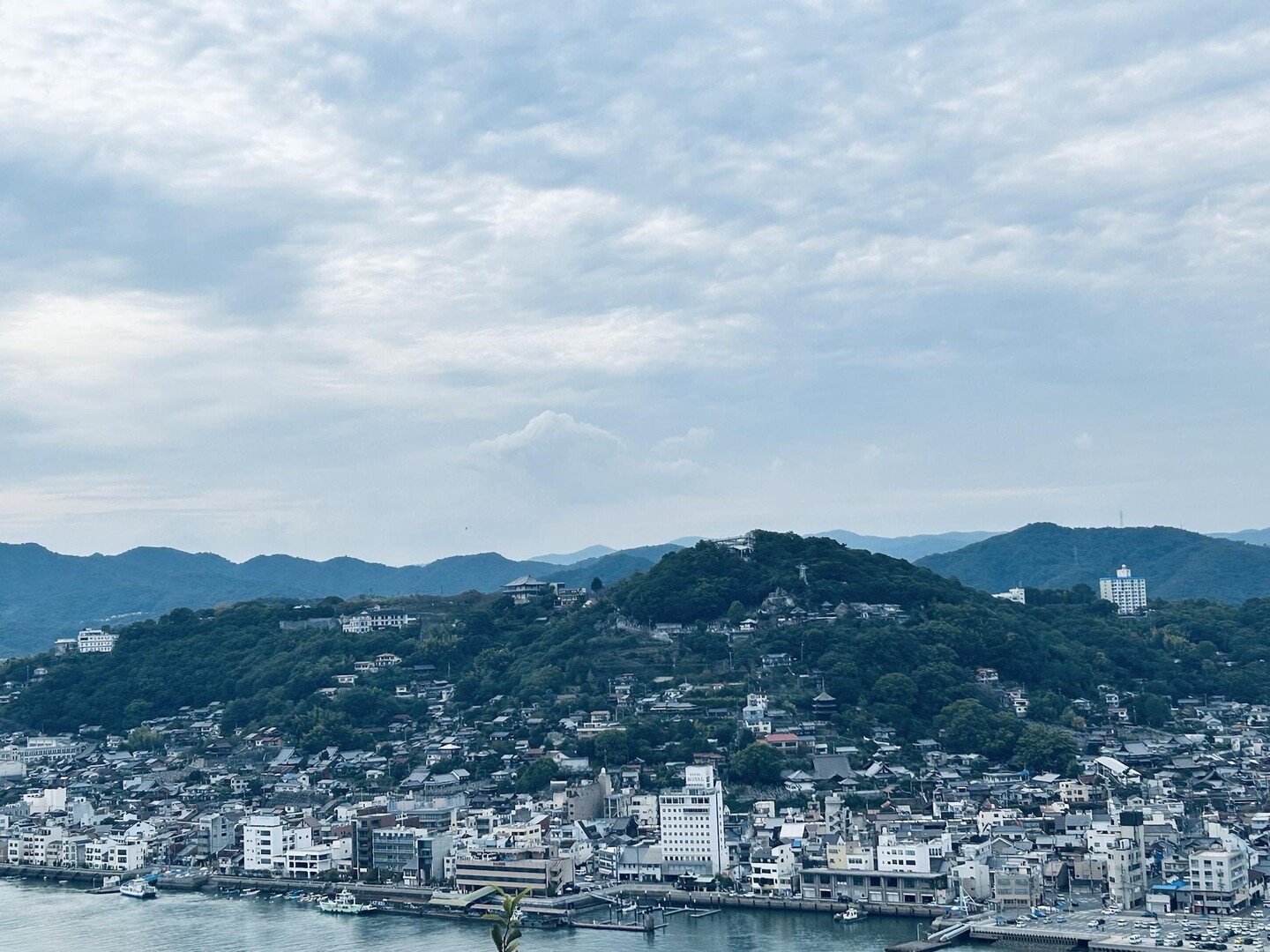 岩屋山🏔️🪨 / まりんこ33さんの浄土寺山（瑠璃山）の活動データ | YAMAP / ヤマップ