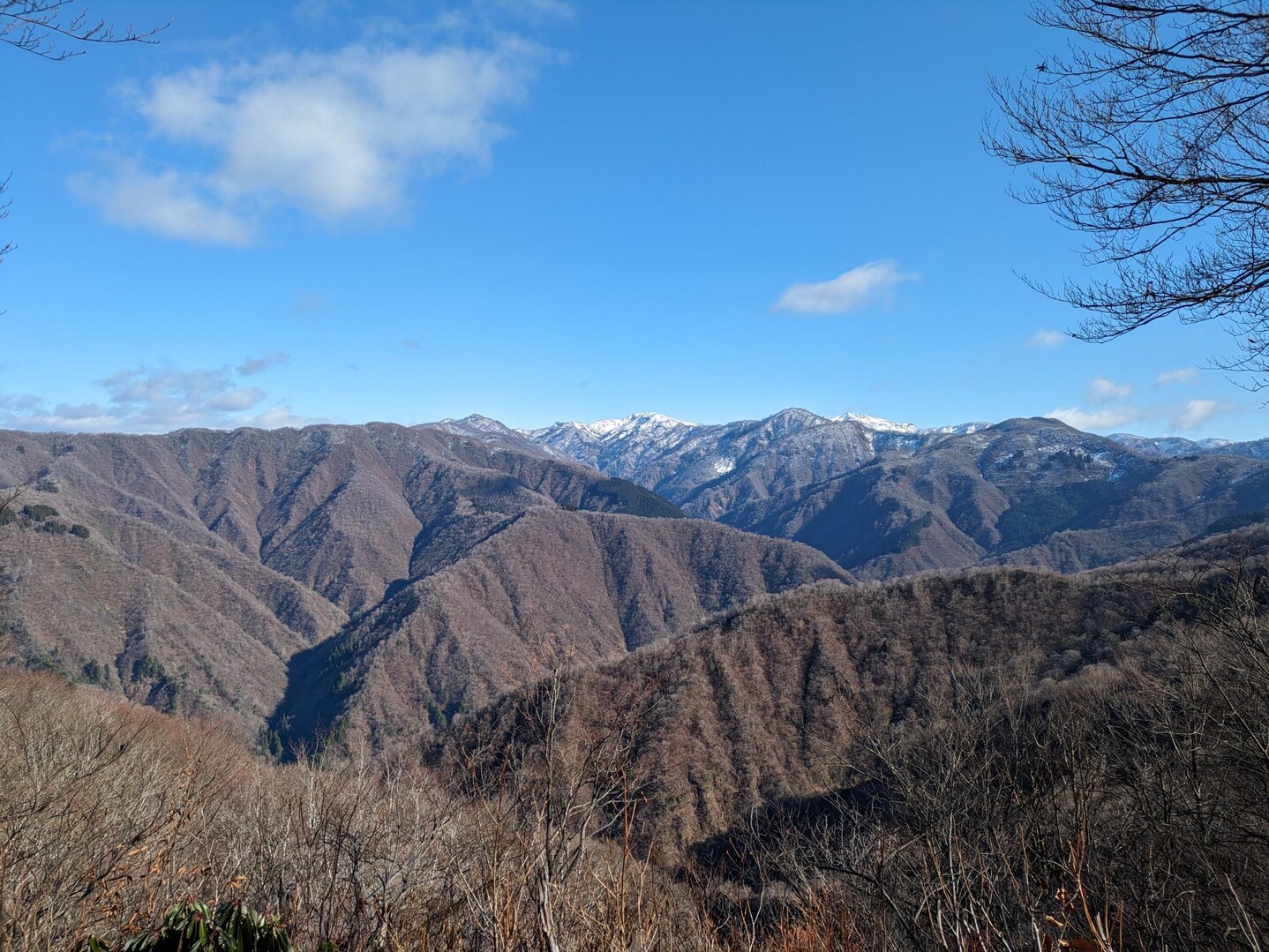高倉山 / daigoさんの大恐山・笈山・鉢伏山の活動データ | YAMAP / ヤマップ