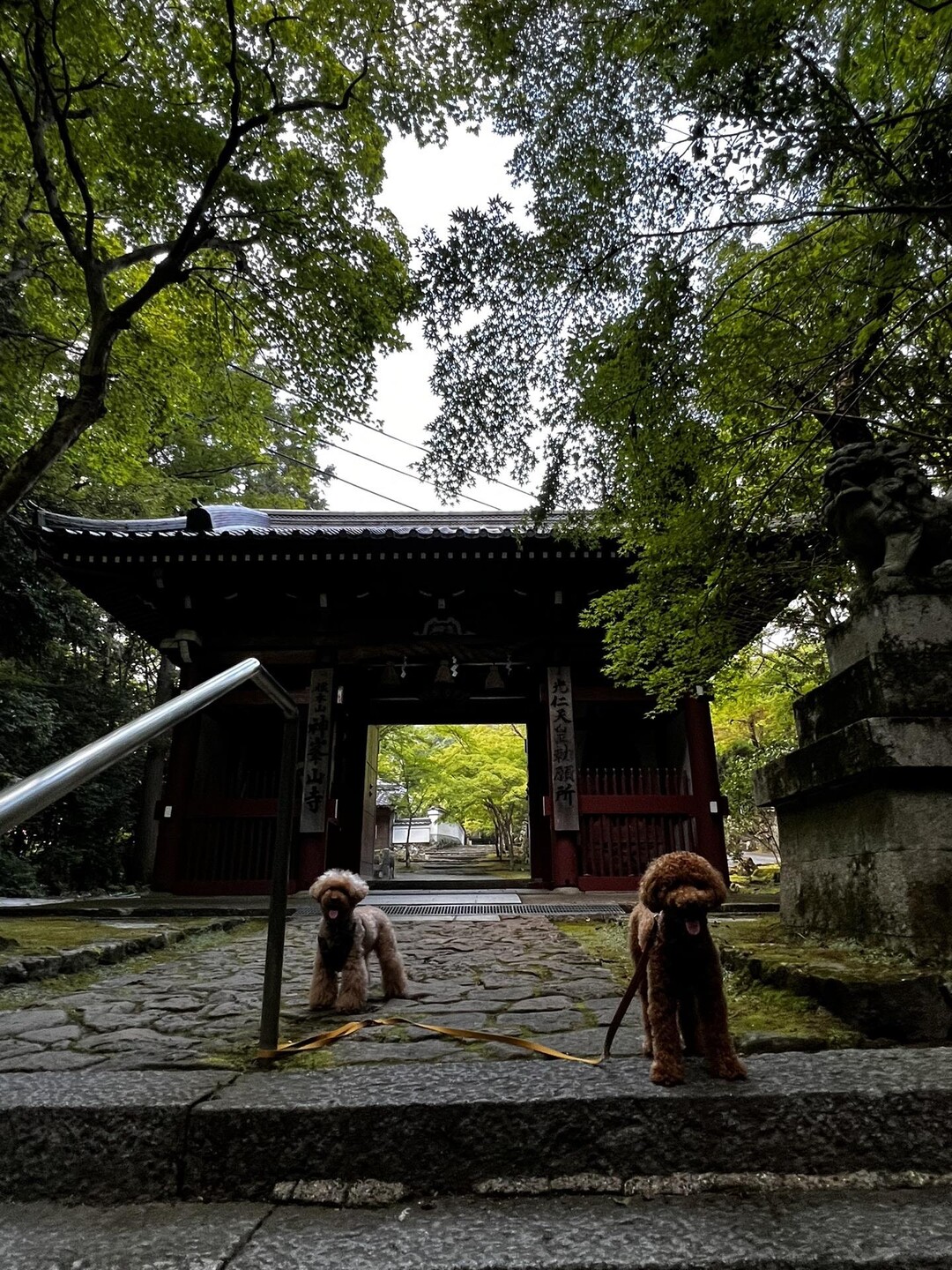 2023猛暑 / aoさんのモーメント | YAMAP / ヤマップ