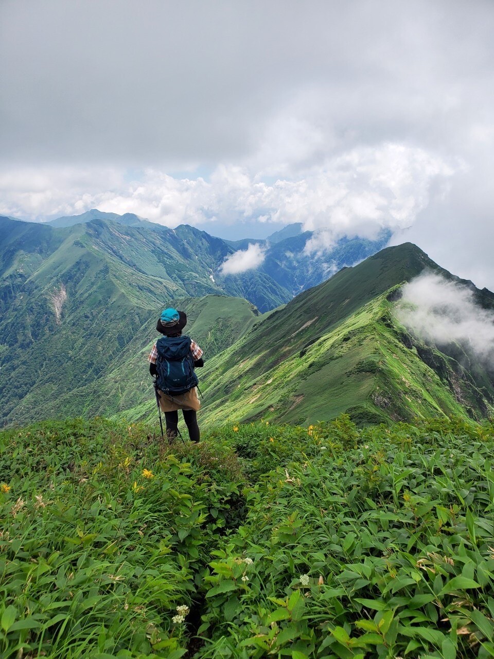 🌼平標山〜仙ノ倉山 / sorarinnさんの仙ノ倉山・平標山・大源太山の活動データ | YAMAP / ヤマップ