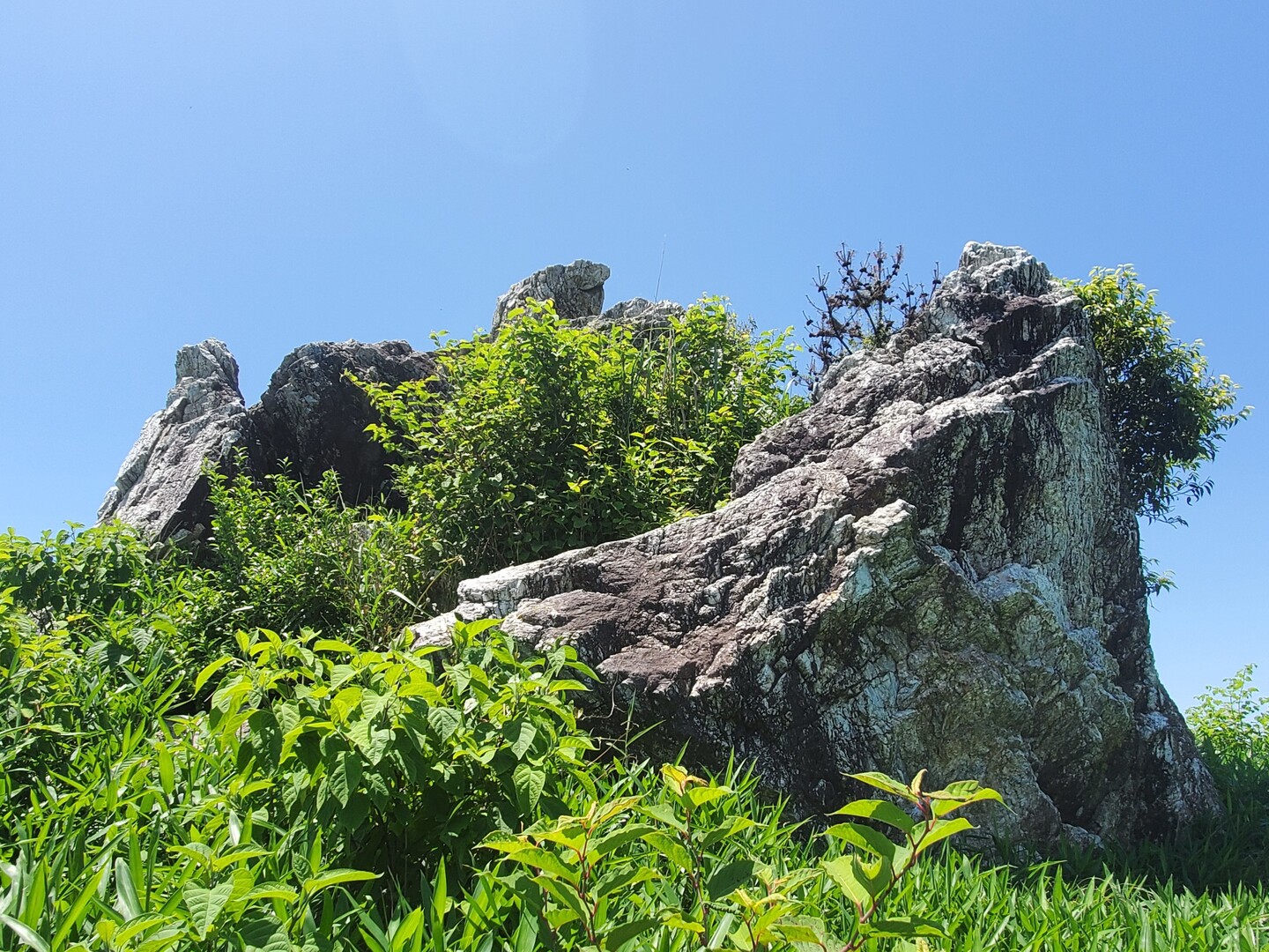 富士見岩 / ayatonさんの坊ヶ峰・石巻山・神石山・葦毛湿原の活動日記 | YAMAP / ヤマップ