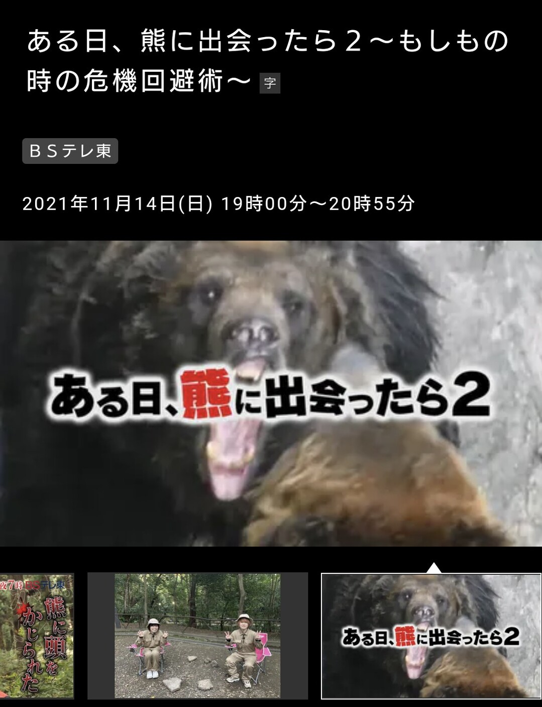 また自分の撮った熊さん動画、 採用される... / ta2さんのモーメント | YAMAP / ヤマップ