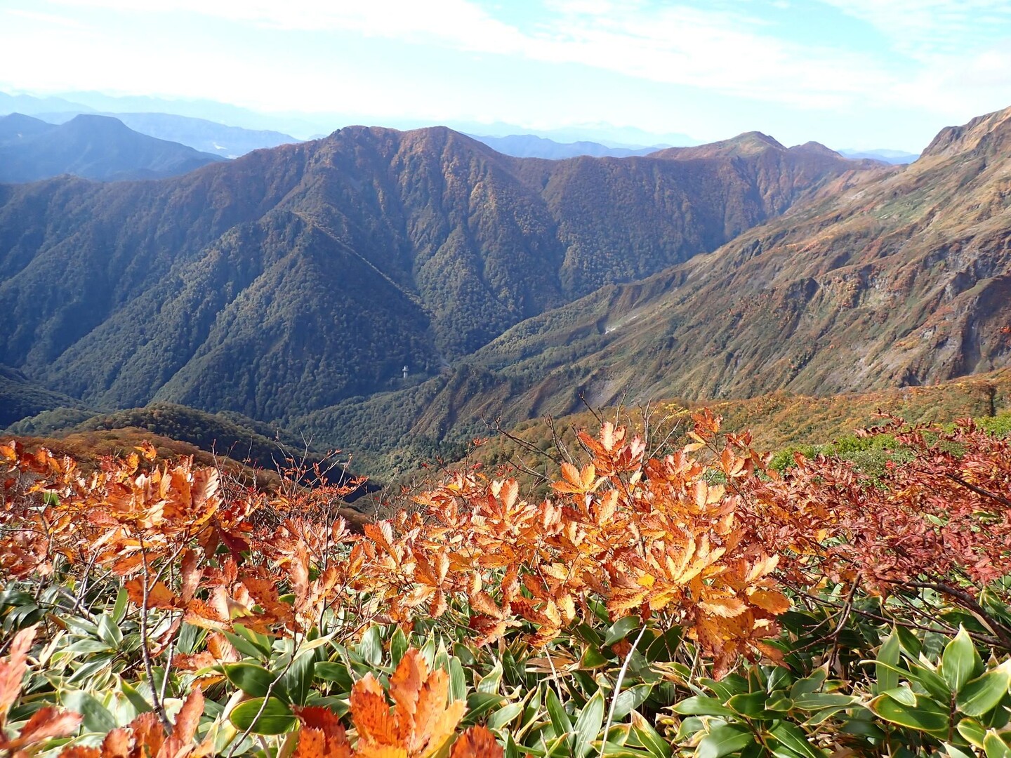 紅葉の谷川岳🍁 / moneさんの谷川岳・七ツ小屋山・大源太山の活動データ | YAMAP / ヤマップ