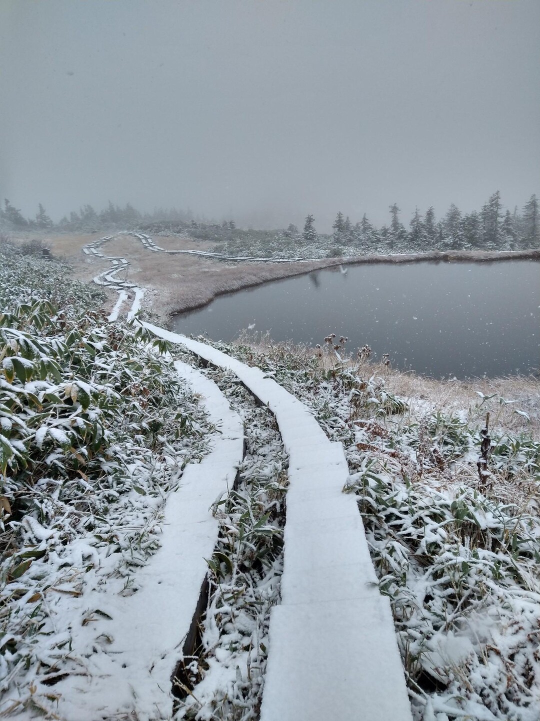 夜行バスで行く会津駒ヶ岳 / muugさんの会津駒ヶ岳の活動データ | YAMAP / ヤマップ