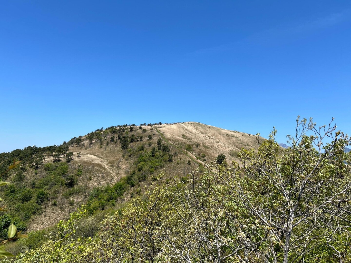 三平山 / CONAさんの毛無山の活動データ | YAMAP / ヤマップ