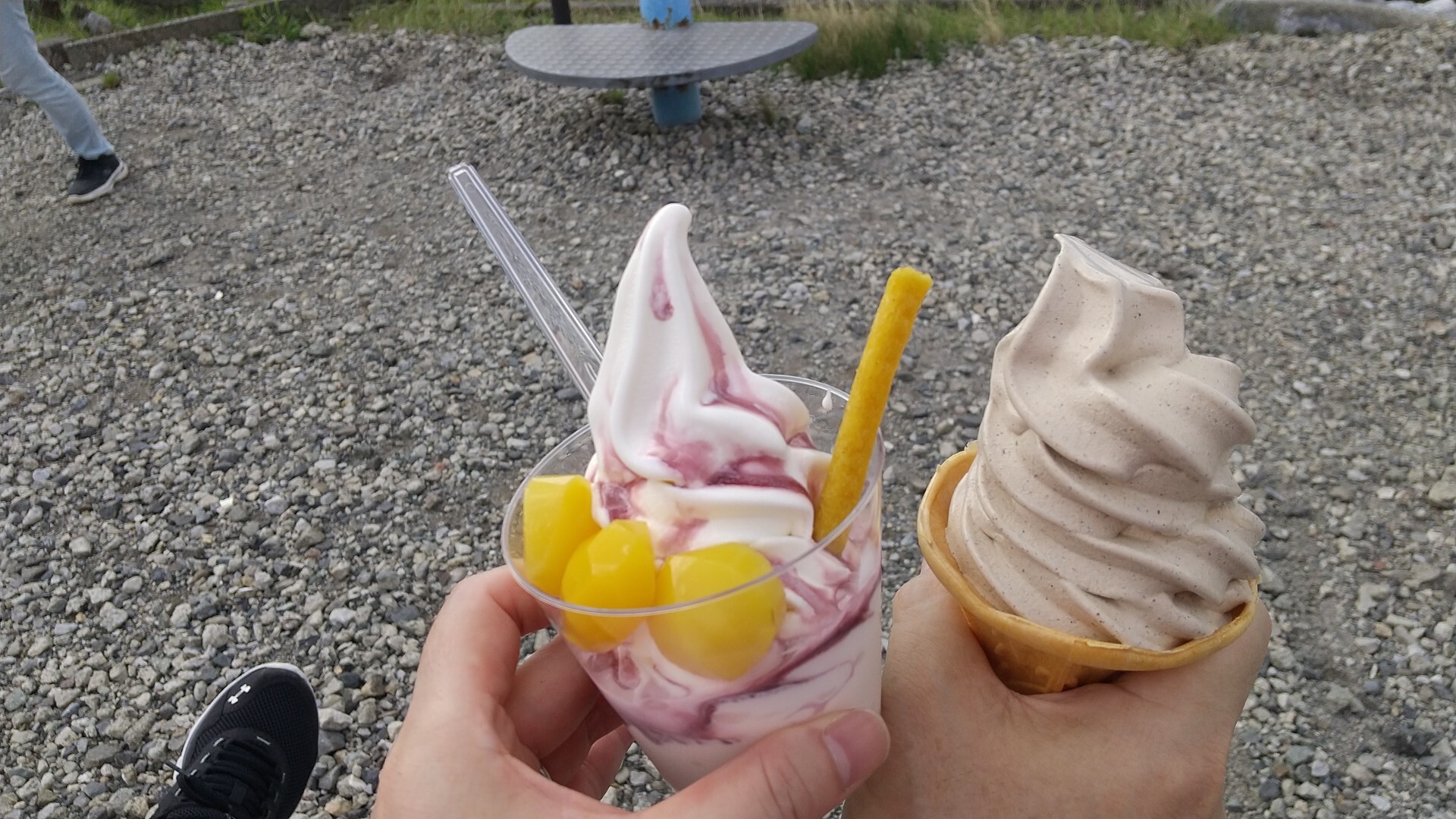 R4.9.12 伊吹山ドライブウェイ経由... / おちょぼさんさんのモーメント | YAMAP / ヤマップ