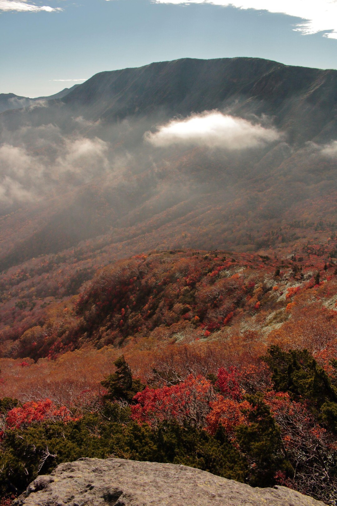パパはTonyさんの投稿したフィールドメモ | YAMAP / ヤマップ
