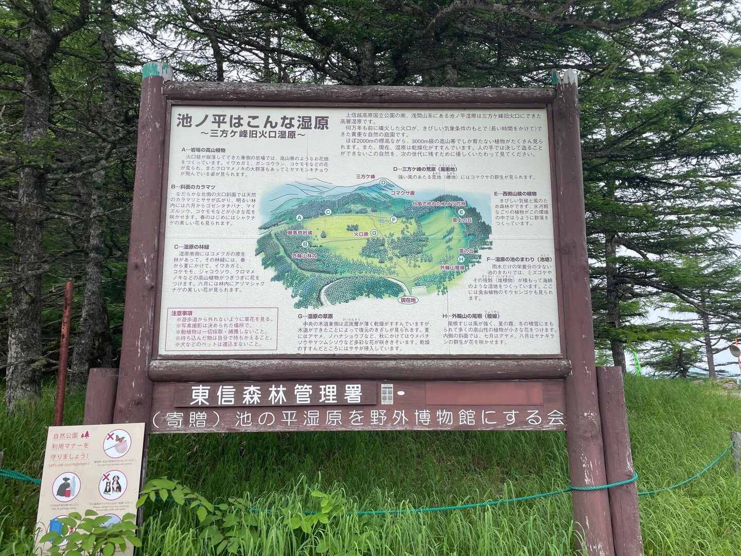 篭ノ登山 ＆ 池の平湿原🌸 / mi-oさんの浅間山・黒斑山・篭ノ登山の活動データ | YAMAP / ヤマップ