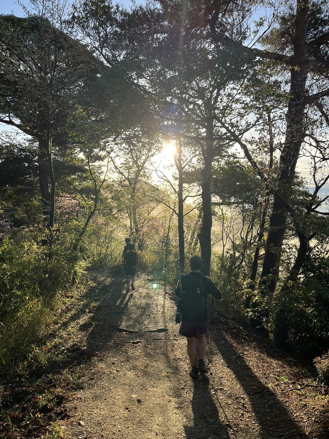 六甲全山縦走 / Noriyamaさんの六甲山・長峰山・摩耶山の活動データ | YAMAP / ヤマップ