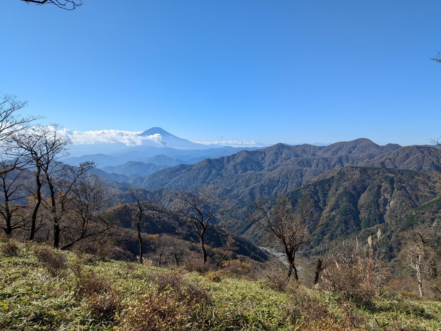 塔ノ岳・丹沢山トレーニング / j-saitohさんの塔ノ岳・丹沢山・蛭ヶ岳の活動データ | YAMAP / ヤマップ