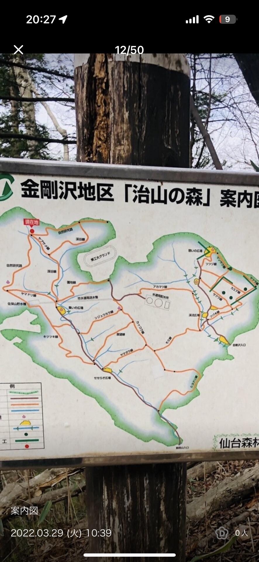 ホームコース鈎取山・金剛沢治山の森⛰️ / ma_surf_miさんの太白山・萱ヶ崎山・蕃山の活動データ | YAMAP / ヤマップ