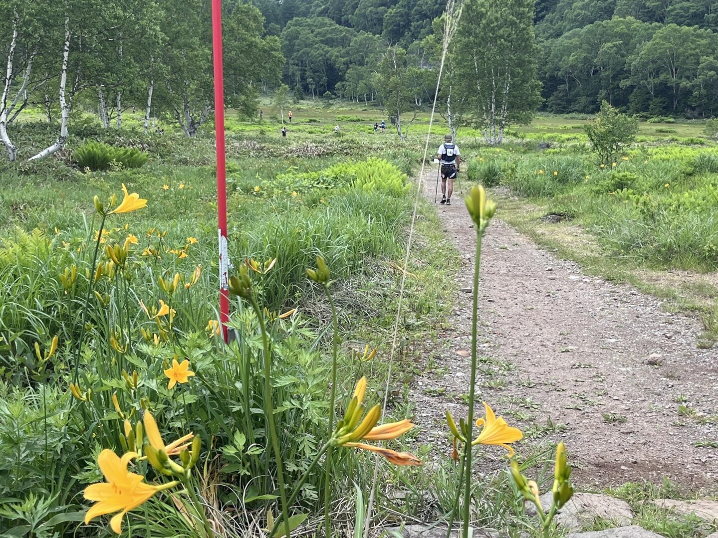 志賀高原100（70km DNF） / やすこさんの焼額山の活動データ | YAMAP / ヤマップ