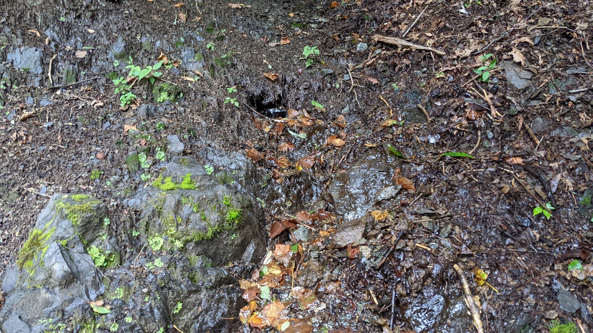 Atsushiさんの投稿したフィールドメモ | YAMAP / ヤマップ