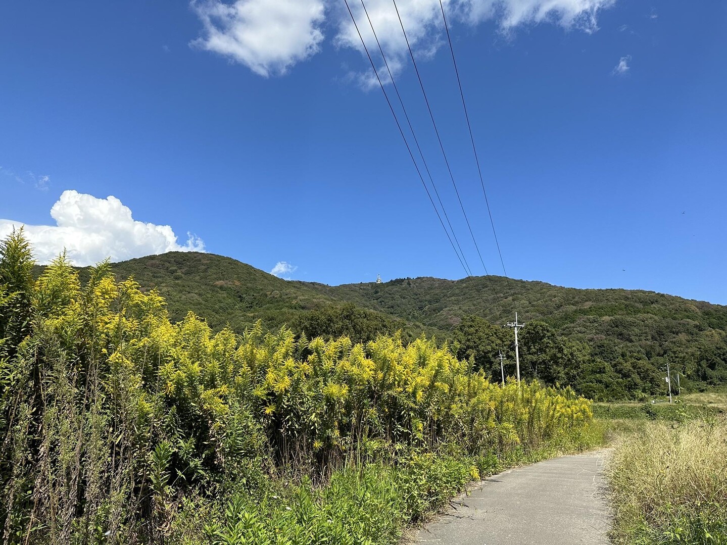 宝篋山・富岡山(足袋デビュー) / mi-naさんの宝篋山・富岡山の活動データ | YAMAP / ヤマップ