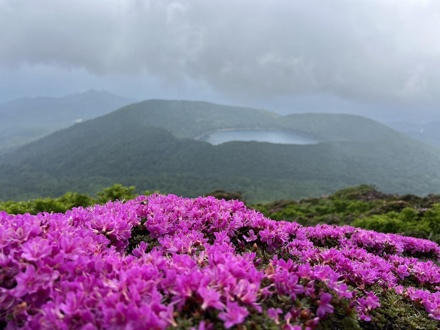 念願の人に会えた😆 韓国岳（霧島山） / 4Cさんの霧島山・韓国岳・高千穂峰・夷守岳・烏帽子岳の活動データ | YAMAP / ヤマップ