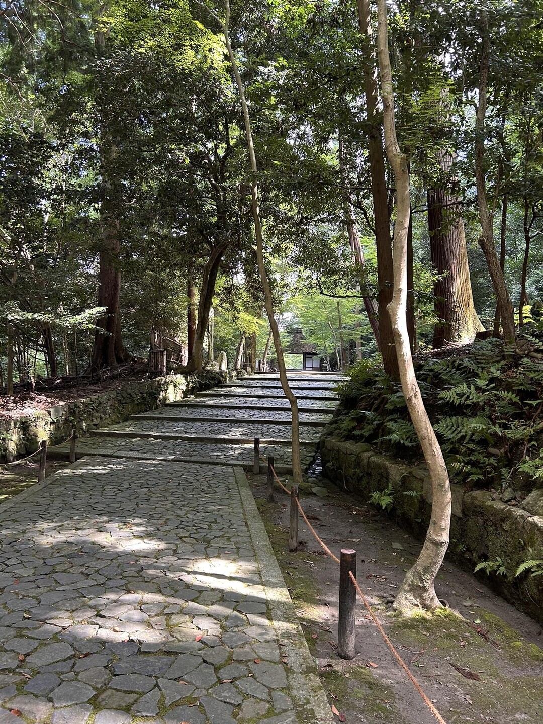 善気山・大文字山・経塚山 / Rikoさんの比叡山・横高山・梶山の活動データ | YAMAP / ヤマップ