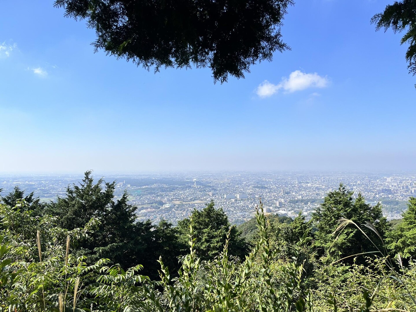 秋の高良山へ⛰️ / マックさんのウォーキングの活動データ | YAMAP / ヤマップ