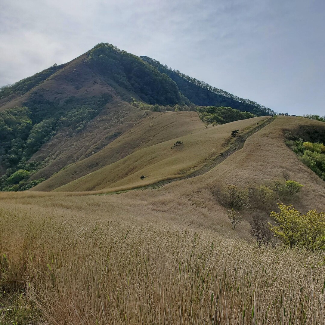 どっぷり蒜山 / KAKKYさんの蒜山の活動データ | YAMAP / ヤマップ