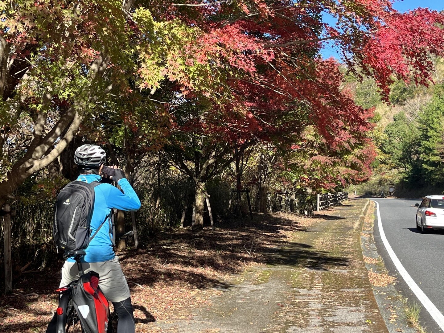 🚴‍♀️霧島神宮サイクリング-2022-11-25 / サクラさんのNATIONAL PARK WALK 04 霧島錦江湾国立公園｜えびの高原池めぐりの活動データ | YAMAP / ヤマップ