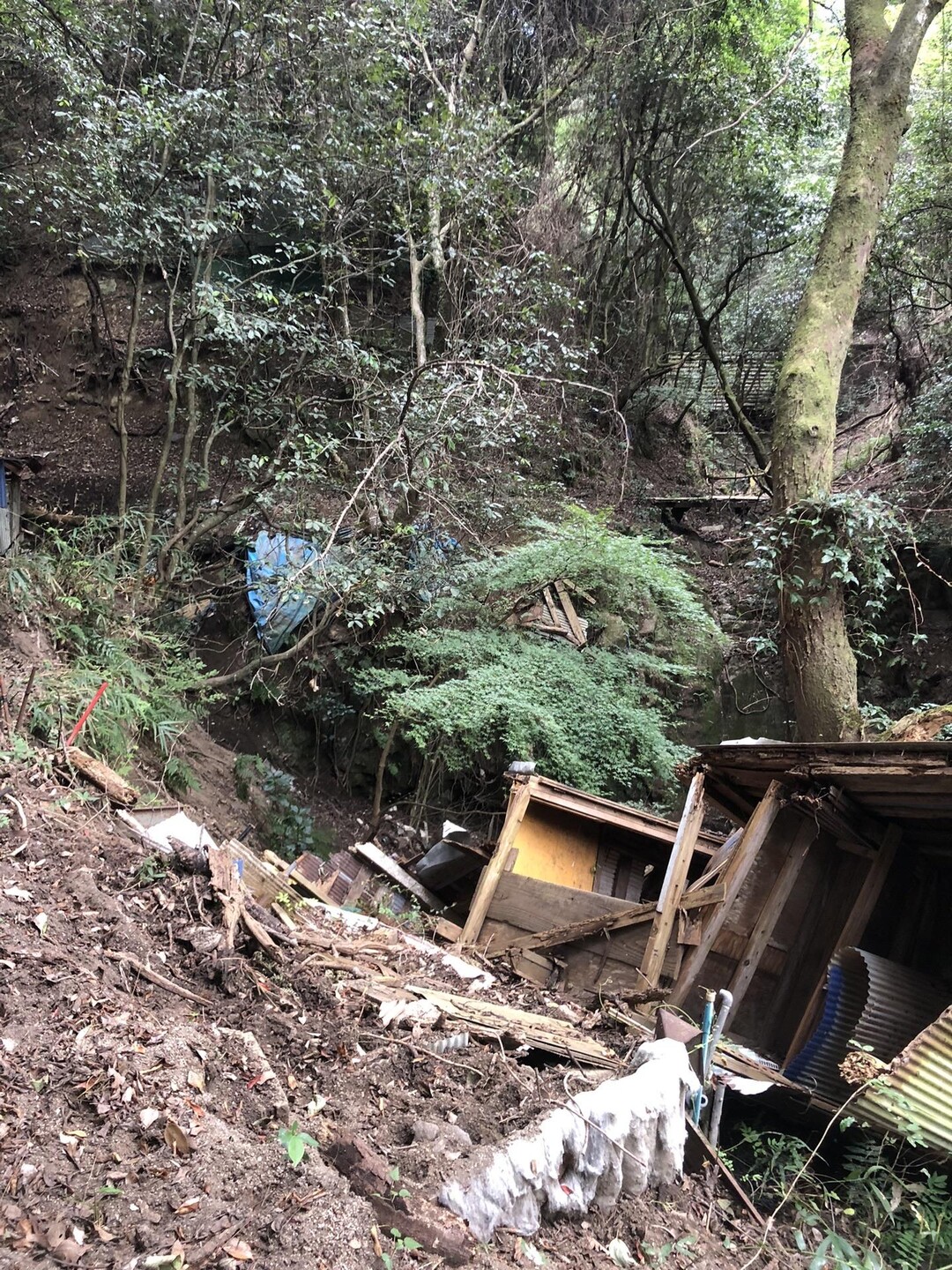 chitoさんの投稿したフィールドメモ | YAMAP / ヤマップ