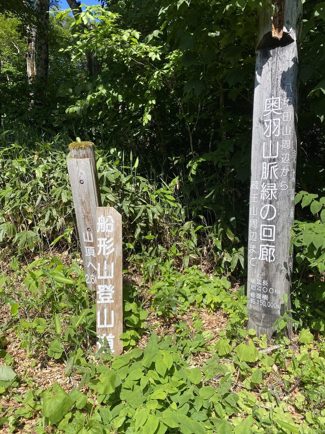 蛇ヶ岳 / yoshimiさんの船形山（御所山）・泉ヶ岳・蛇ヶ岳の活動データ | YAMAP / ヤマップ
