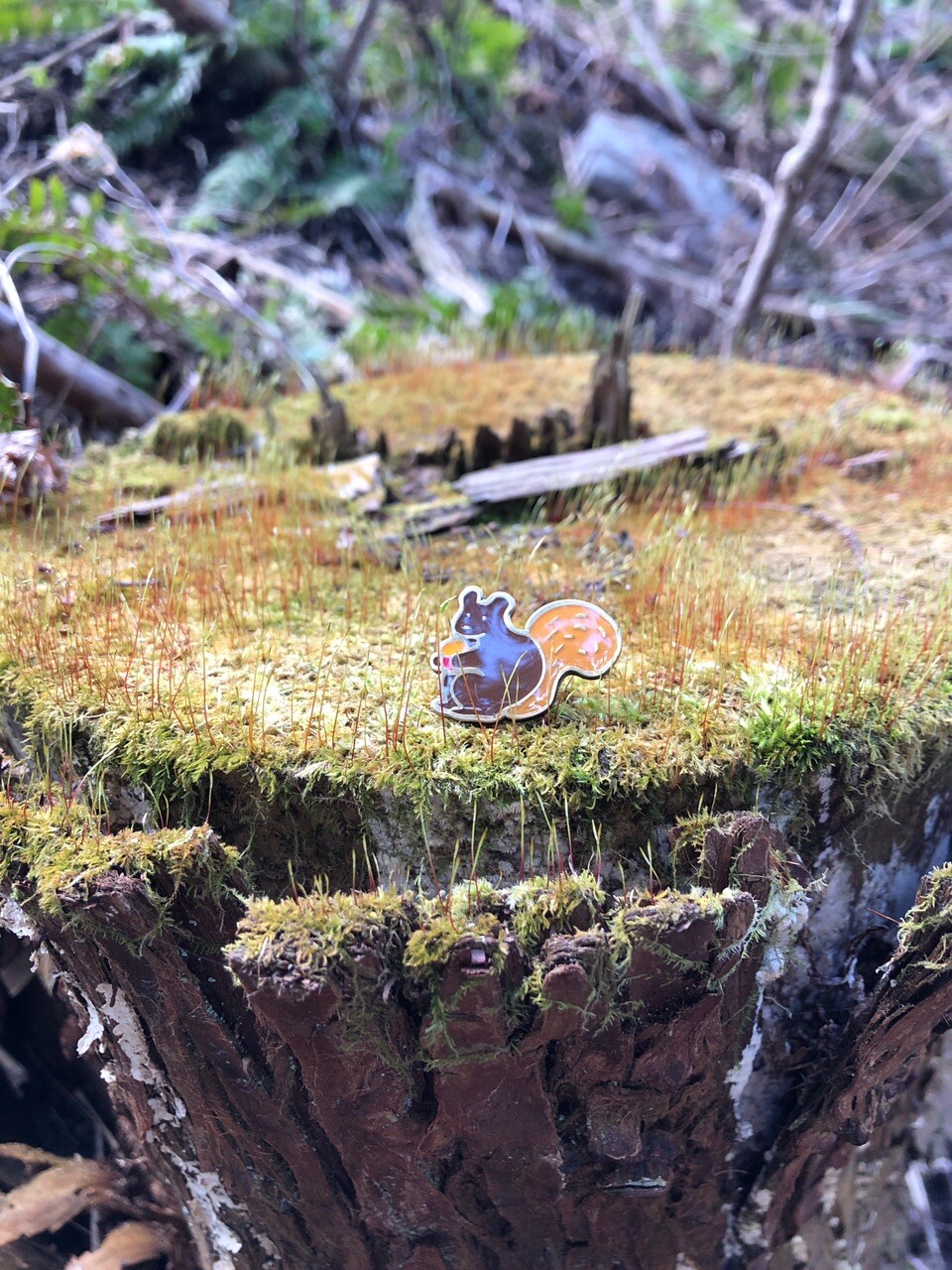 megumiのページ | YAMAP / ヤマップ