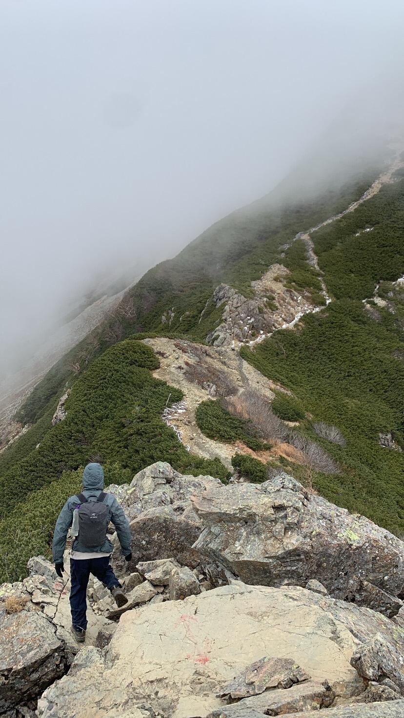 小仙丈ヶ岳・仙丈ヶ岳 / NOSUKEさんの仙丈ヶ岳・伊那荒倉岳の活動データ | YAMAP / ヤマップ