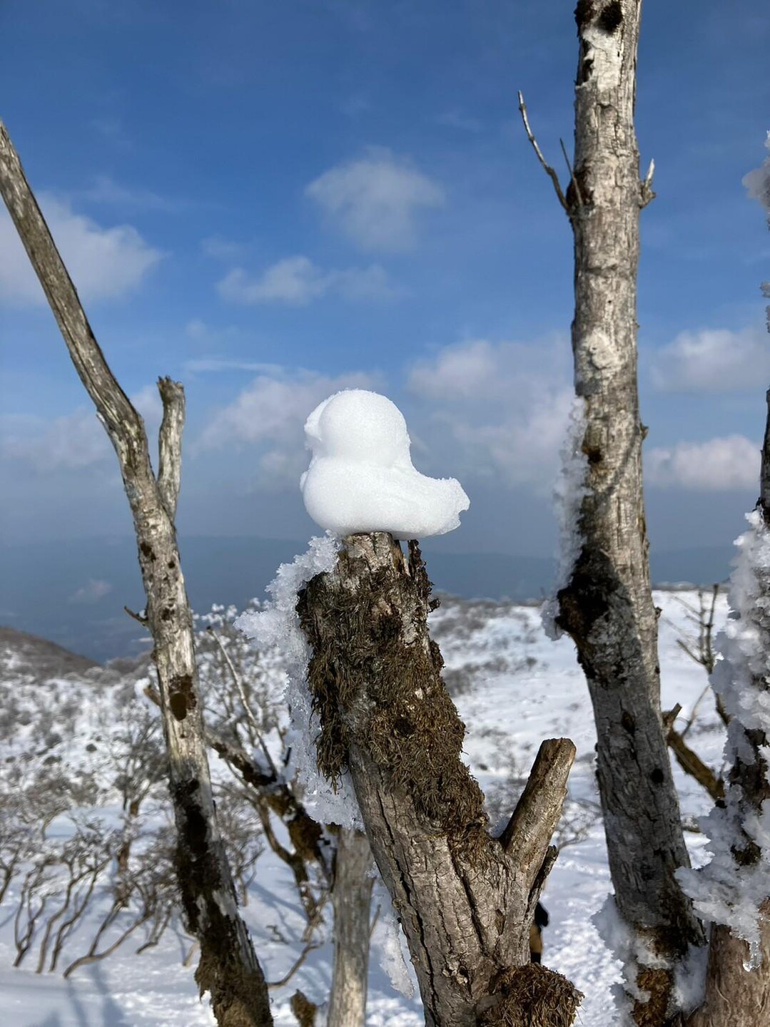 tomo_nのページ | YAMAP / ヤマップ