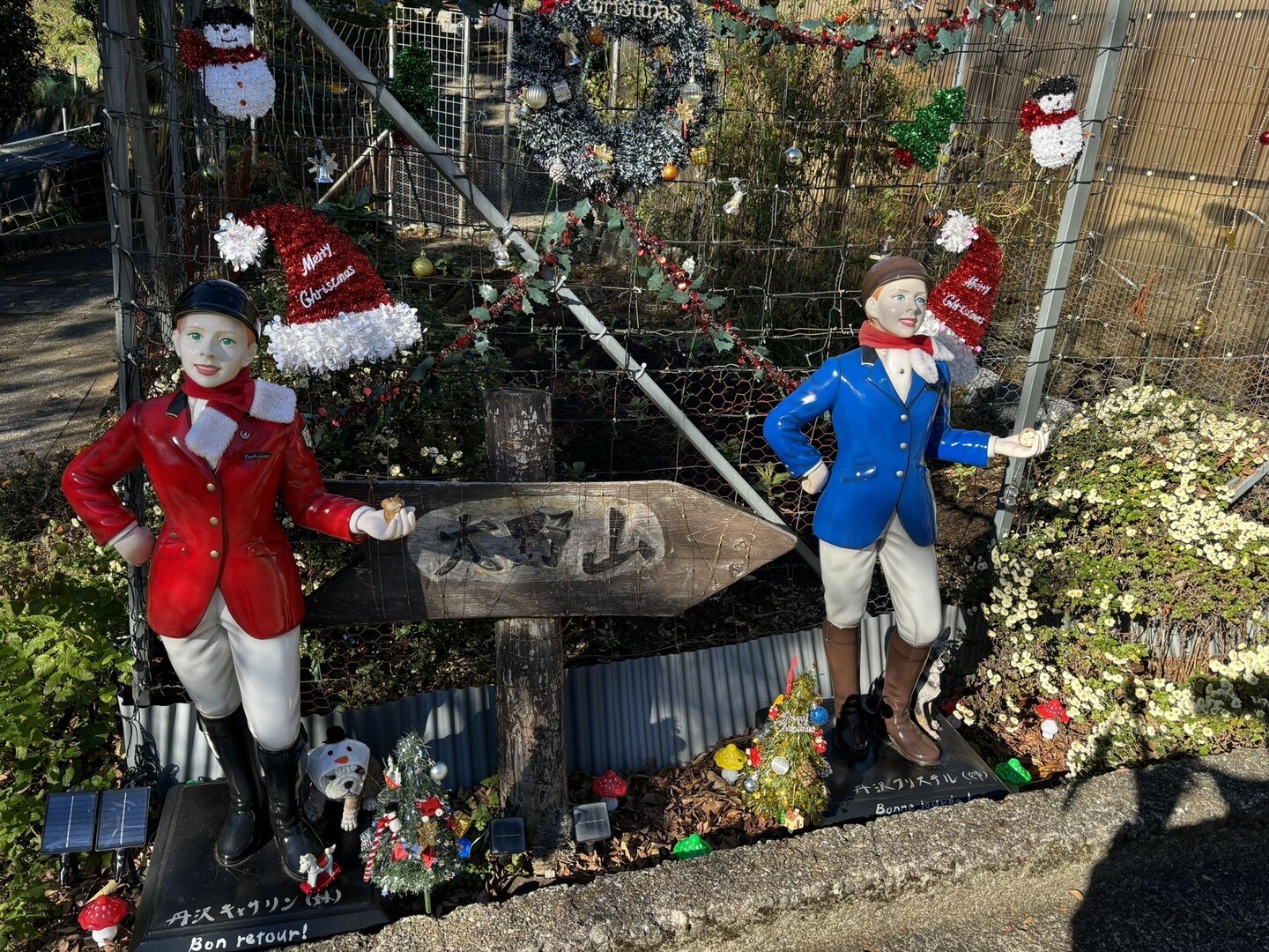 大野山 / Dry manさんの高松山・大野山の活動日記 | YAMAP / ヤマップ