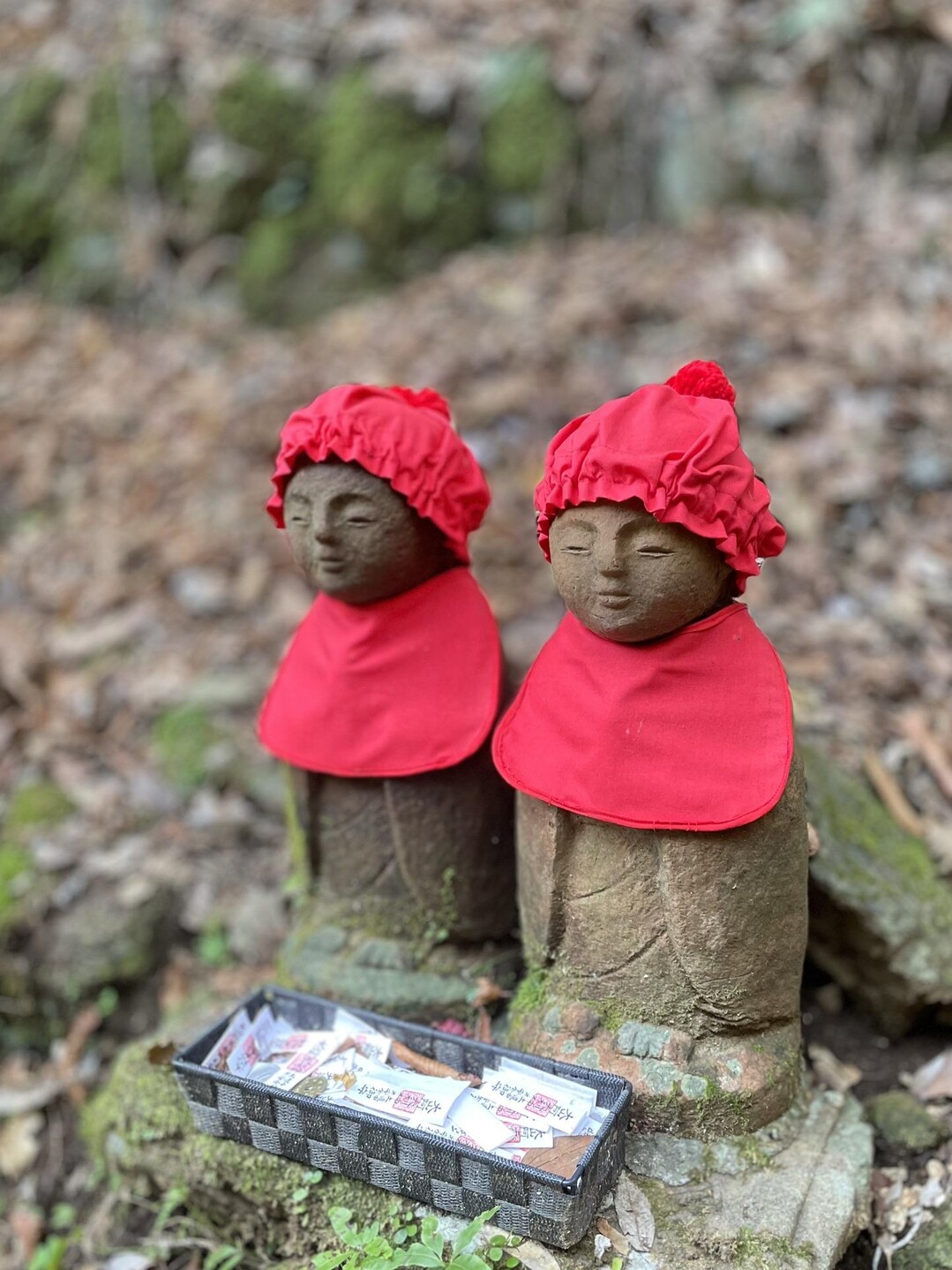 大山・見晴台周遊 / mas3さんの大山の活動データ | YAMAP / ヤマップ