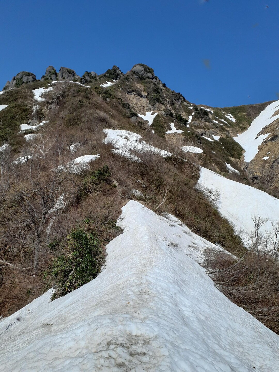 八海山 途中まで / もりひろさんの越後駒ヶ岳・八海山・荒沢岳の活動日記 | YAMAP / ヤマップ